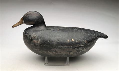 Black Duck Cassius Smith Milford Connecticut