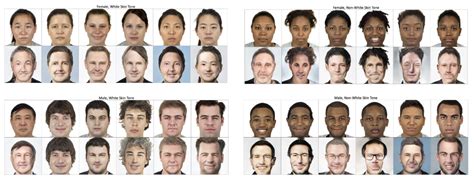 Github Fionapeng16cyclegan Facial Bias Imperfect Elegance