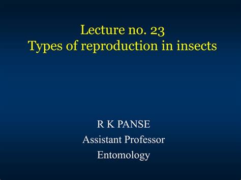 Types Of Insect Larvae Pptx