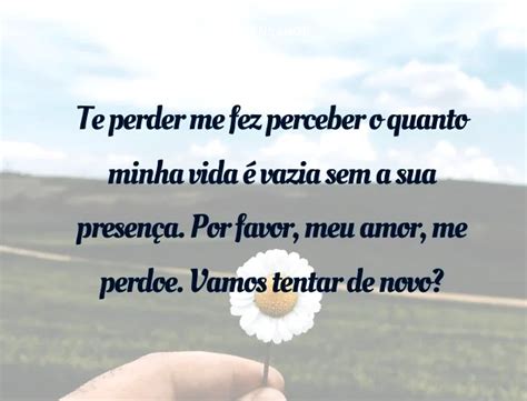 Mensagens De Desculpa Amor Mensagens Feliz