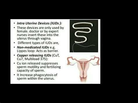 Population Explosion Birth Control Class 12 Biology Chapter 4