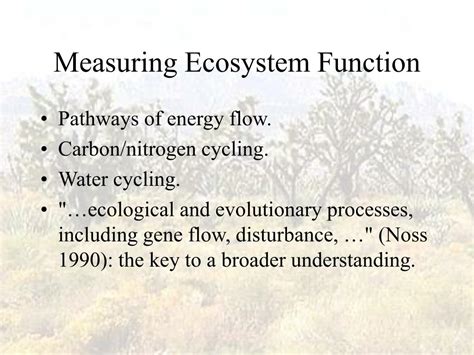 PPT Prospects For A Broader Understanding Of Ecosystem Function In