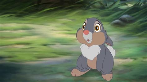 Thumper Surprised By Flyingfoxandbambi On Deviantart