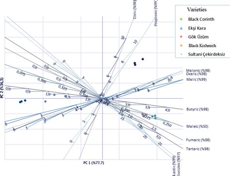 Principal Component Analysis Biplot Score And Loadings Plots Of