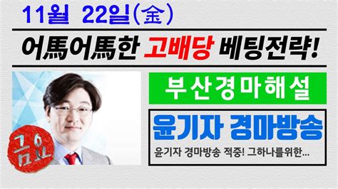 해설 방송 2024년 11월 22일 금요 부산제주경마 윤기자 해설방송삼복삼쌍고배당복병실시간경마부산경마한국마사회