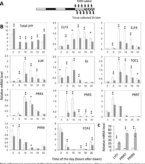Figure 2 From Revised Morning Loops Of The Arabidopsis Circadian Clock