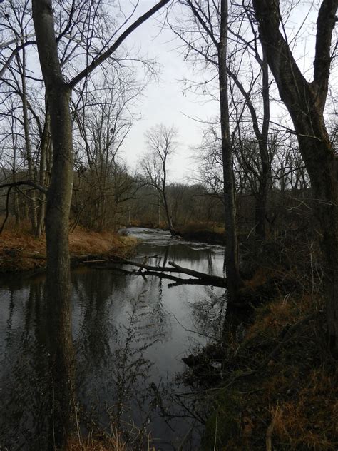 Dscn1079 Maya Tate Flickr