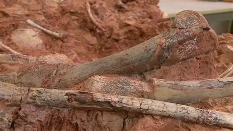 Fóssil de dinossauro de 233 milhões de anos é encontrado no Rio Grande