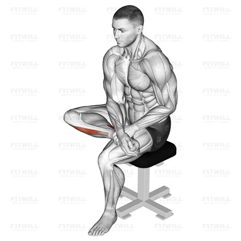 Seated Toe Flexor And Foot Everter Stretch Exercise Guide Techniques