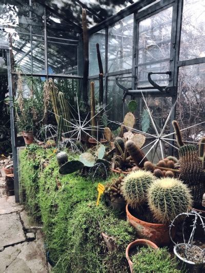 Post Greenhouse Aesthetics Tumblr Com Tumbex