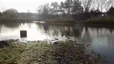 Mere Beck Fly Fishing Home Facebook