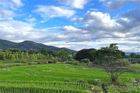 The Power Of Opposites A Dialectical Approach To Emotional Balance