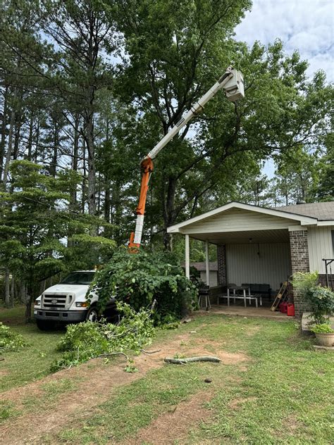 Ww Tree Experts Llc Woodland Al