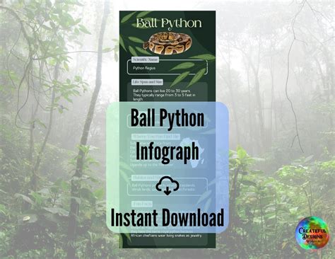 Ball Python Infographic Printable Etsy