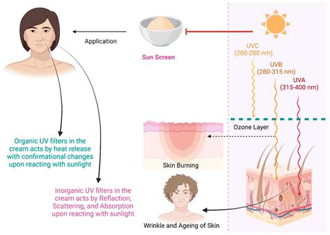 The Interaction Of Organic And Inorganic Uv Filters From Sunscreen Download Scientific Diagram