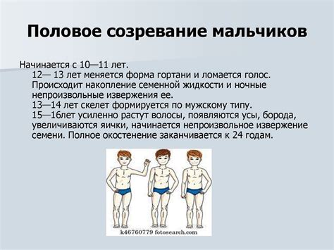 Половое созревание презентация онлайн