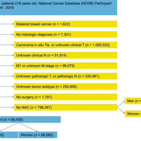 Flow Diagram Of Patient Population Nac Indicates Neoadjuvant
