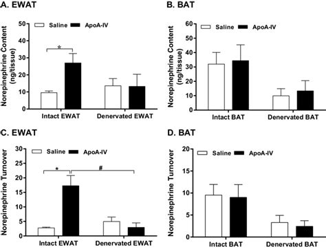 Sympathetic Activity Indicated By Norepinephrine Content And Turnover Download Scientific
