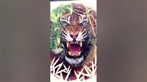 آموزش رایگان تتو،تتو موی حیوانات،تتوی ببر،free Tattoo Tutorialanimal