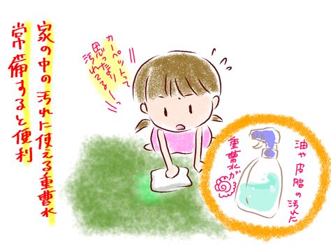 カーペットの掃除を重曹水スプレーでしてみよう！ 掃除のコツ先生