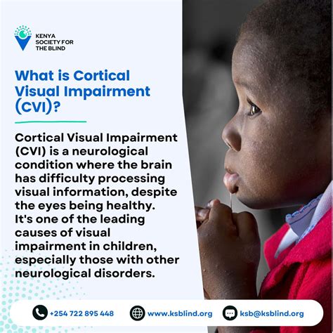 September Is Cortical Visual Impairment Cvi Awareness Month Cvi Is A