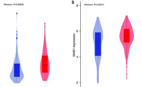 Gins1 Expression In Metastatic And Non Metastatic Sarcoma Samples A Download Scientific