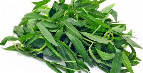Spinach Keerai Varieties And Its Benefits Best Indian Grocery In