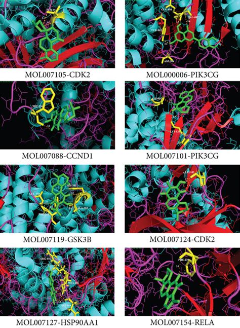 relationship between the pi3k akt signaling pathway and active