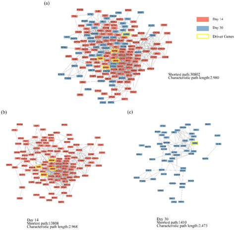 The Ppi Network Of Pargs A The Ppi Network Of 189 Pargs B The