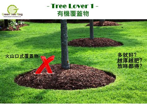 有機覆蓋物 綠年輪 樹藝顧問有限公司