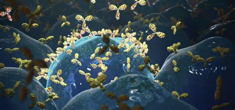 水木视界iss3丨基于冷冻电镜和次世代测序技术的抗体发现 知乎