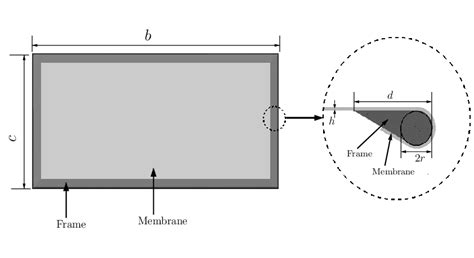 Membrane Wing Geometry And Section Of Supporting Frame Download