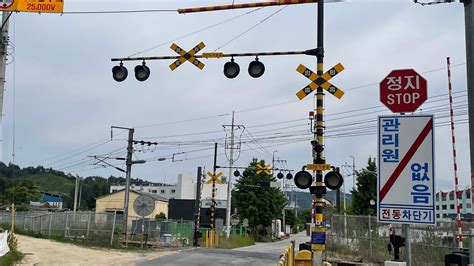 봉화 춘양건널목 4460호 견인 백두대간협곡열차 V Train 아기백호 🍼🐅🐯 통과영상 Youtube