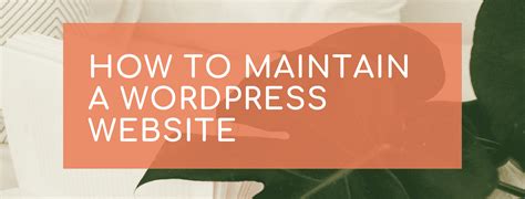 Maintaining A Wordpress Website The Smart Bear Websites