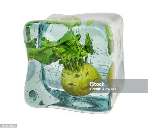 콜라비는 얼음 큐브에 얼어 흰색 배경에 고립 된 3d 렌더링 3차원 형태에 대한 스톡 사진 및 기타 이미지 3차원 형태