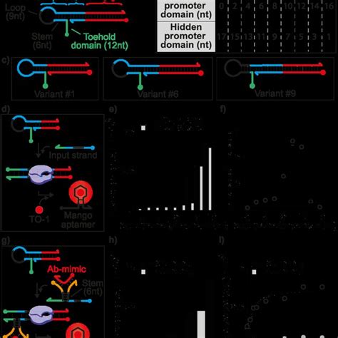 Design Of Colocalization Induced Transcriptional Switch A Scheme Of