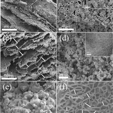 Scanning Electron Microscope Sem Photos Of A And B Co Foam C