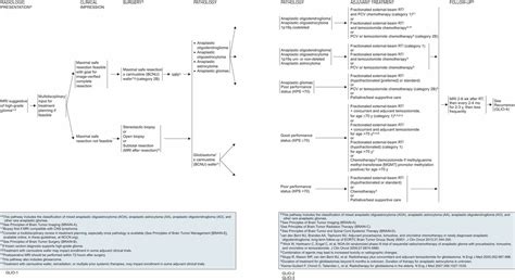 Central Nervous System Cancers In Journal Of The National Comprehensive Cancer Network Volume