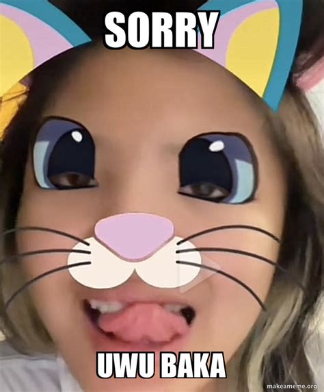 Sorry Uwu Baka Make A Meme