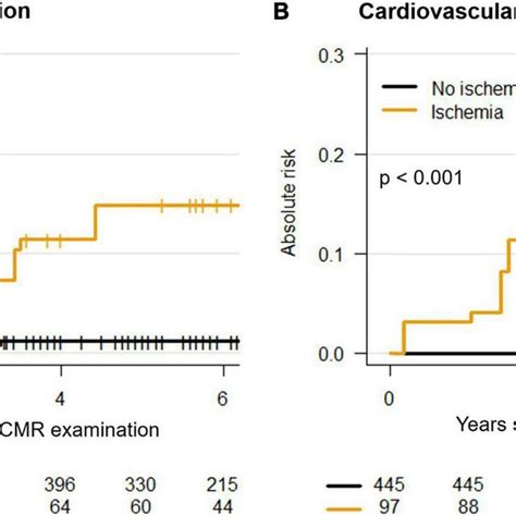 Competing Risk Analysis Cumulative Incidence Functions Of Non Fatal Download Scientific
