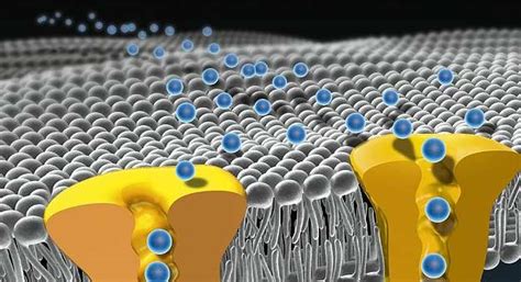 Resource Creative Bioarray