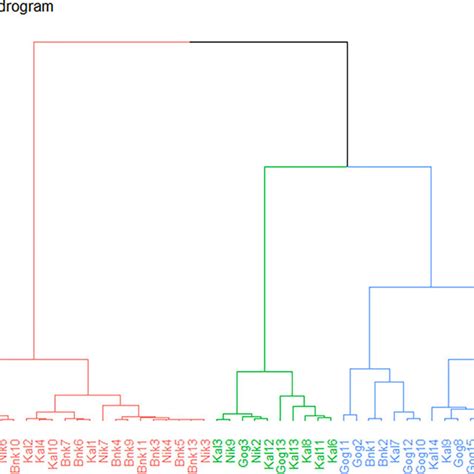dendrogram showing the diversity and the classification of the