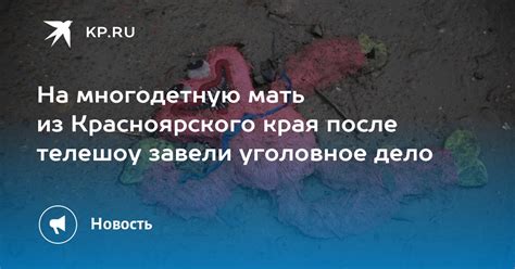 На многодетную мать из Красноярского края после телешоу завели уголовное дело Kp Ru
