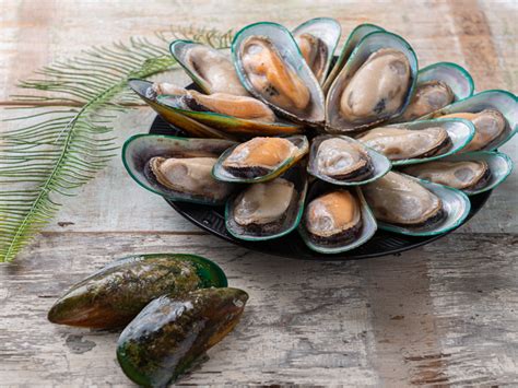 뉴질랜드 그린홍합 메가마트몰