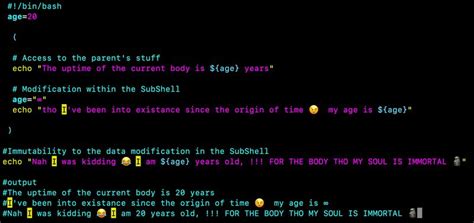 Scripting Fact 80084 Subshell Is The Instance Of The Shell Which Is Spawned Within The