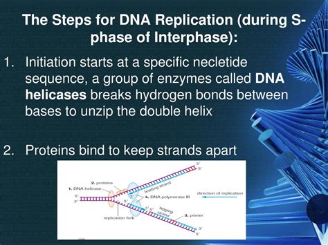 Ppt Dna And Protein Synthesis Powerpoint Presentation Id 564231