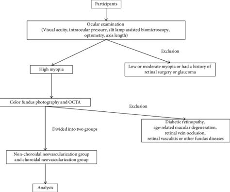 Choroidal Vascular Density Quantification In High Myopia With Or Without Choroidal