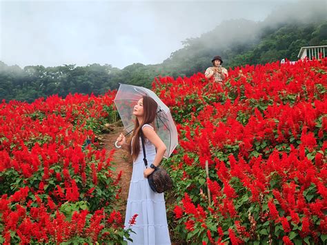 Travel In ချင်းမိုင် Added A New Photo Travel In ချင်းမိုင်