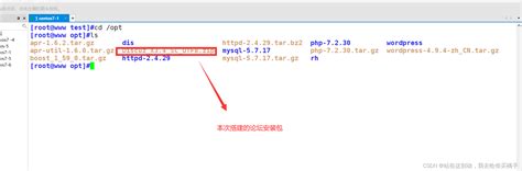 Lamp架构中的网站搭建如何用lamp搭建一个自己的网页实验 Csdn博客