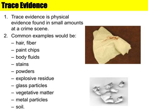 The Importance Of Trace Evidence In Forensic Science Worksheet Answers